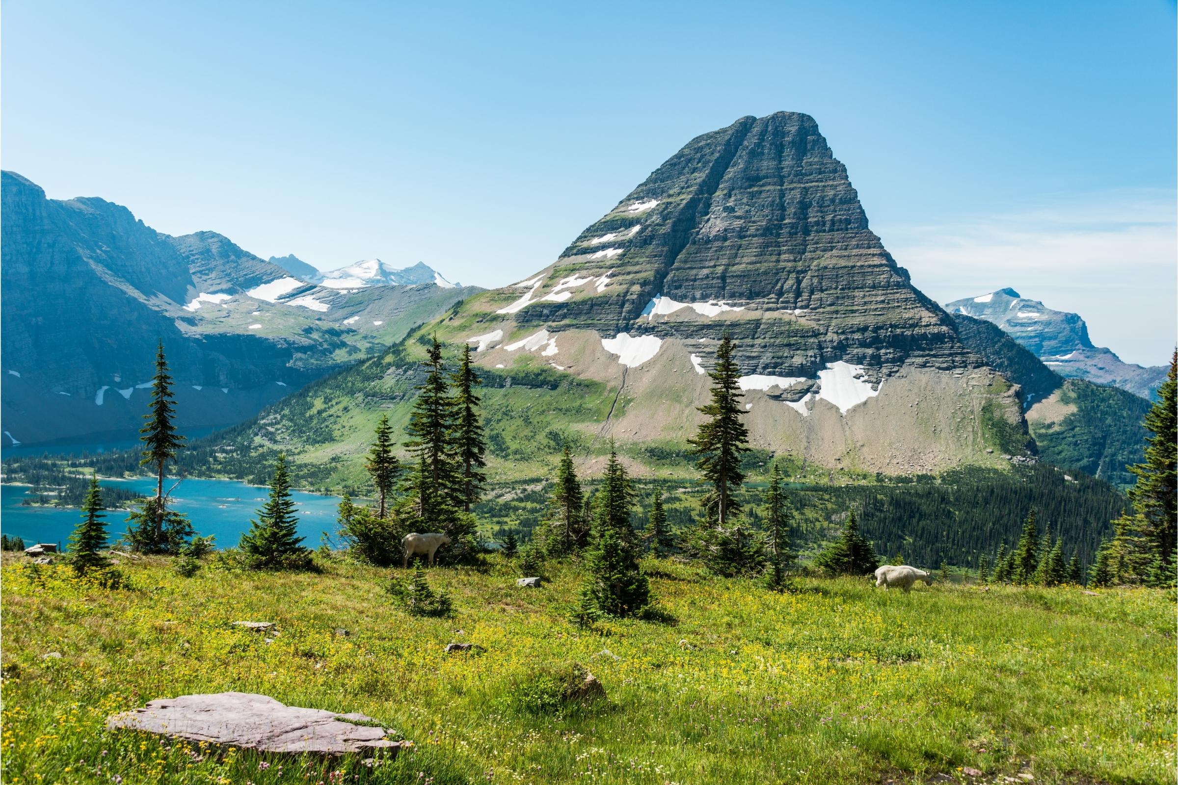 Road Trip From Calgary To Las Vegas - FamilyVacation.com