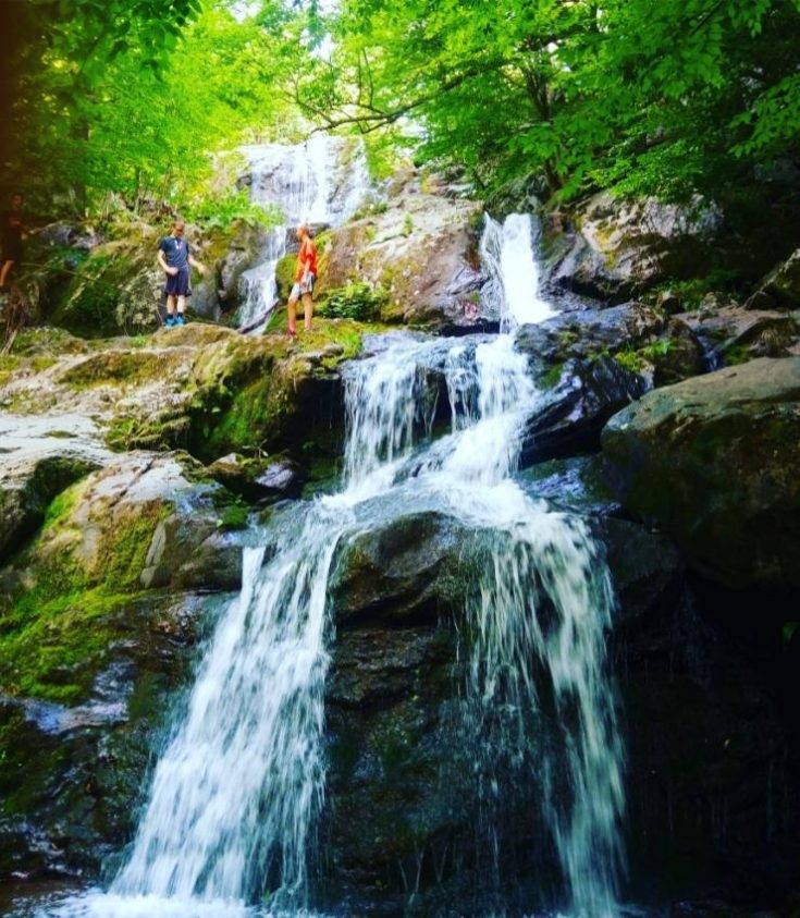 Best Things To Do With Kids In Shenandoah National Park ...