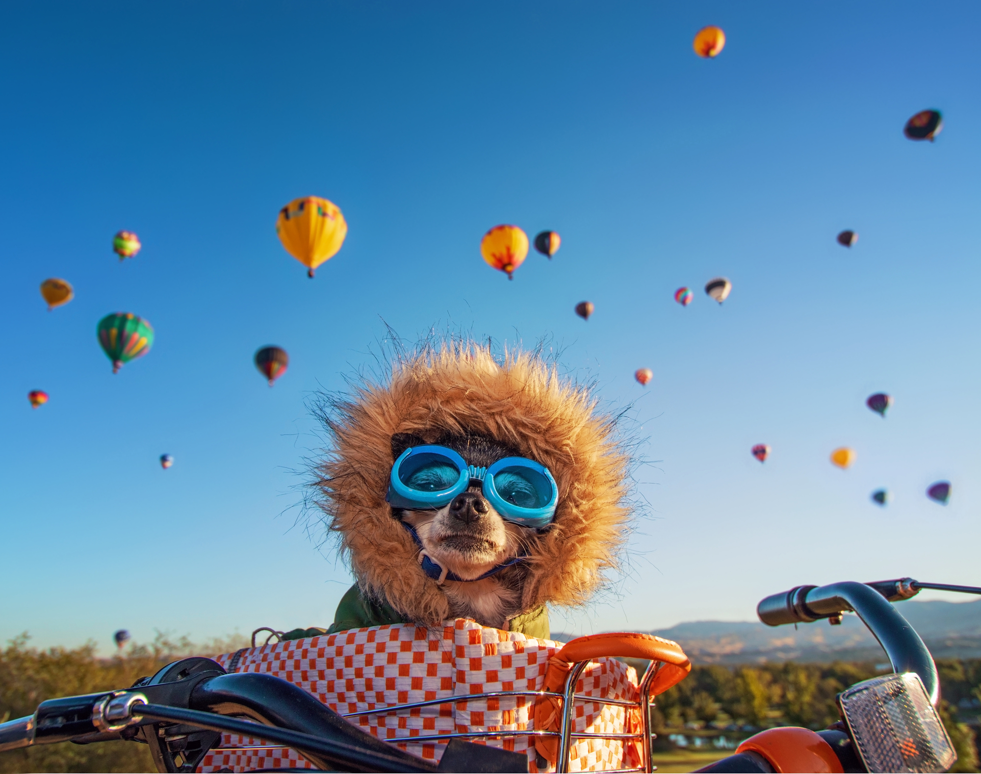 Things To Do In Boise With The Kids - FamilyVacation.com