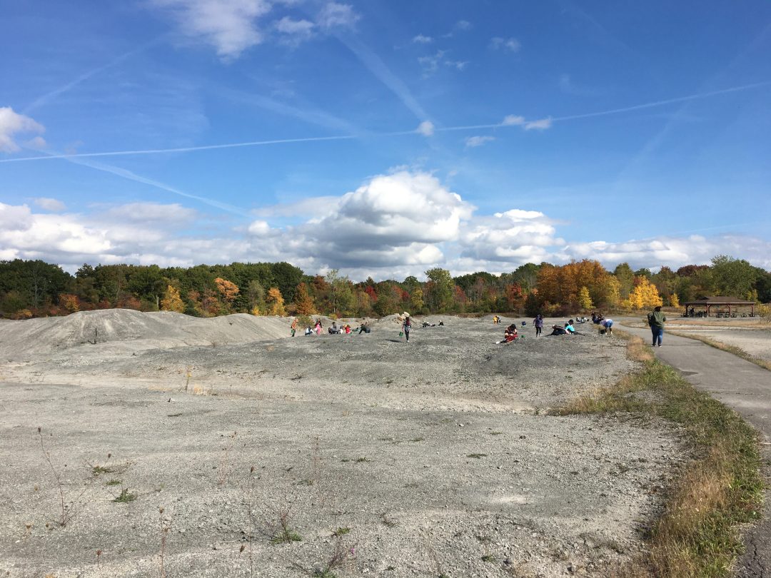 Penn Dixie Fossil Park Review (and What To Bring) - FamilyVacation.com