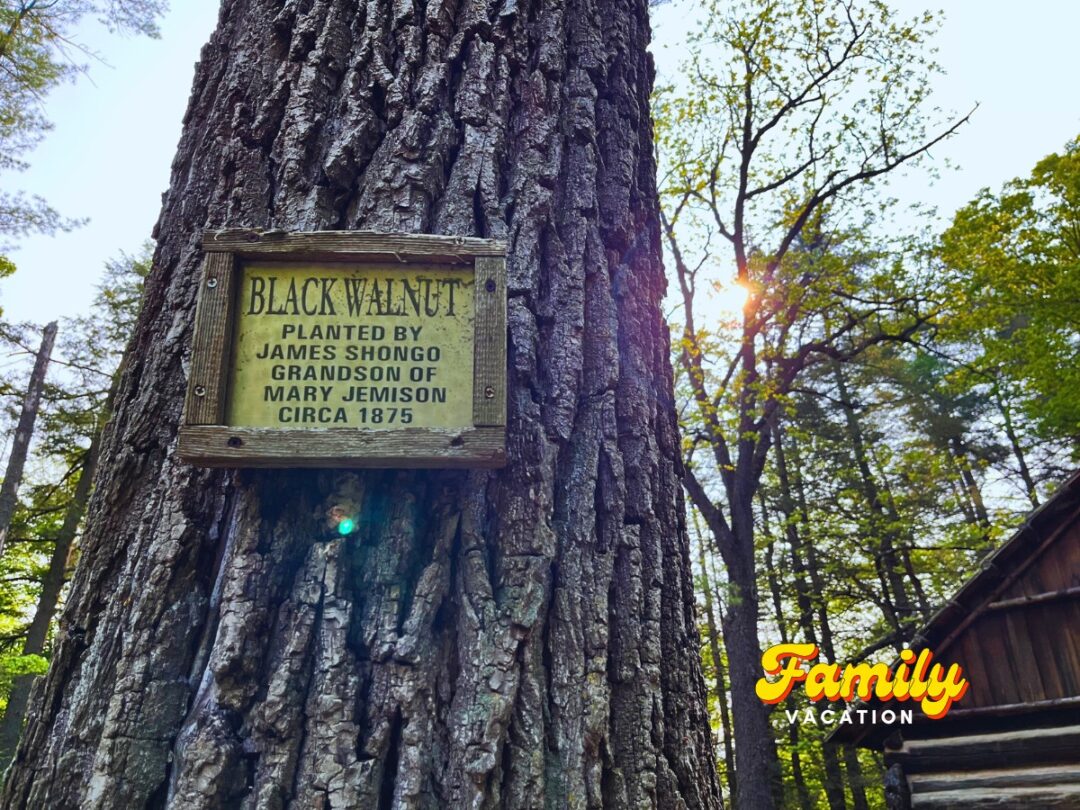 Mary Jemison Statue At Letchworth State Park (and Council Grounds ...