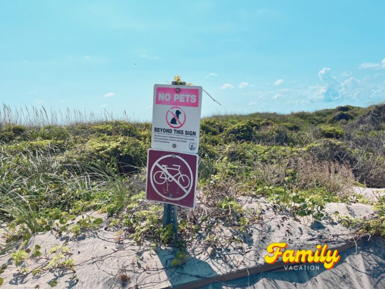 Visit The Pea Island National Wildlife Refuge On The Outer Banks (It's ...
