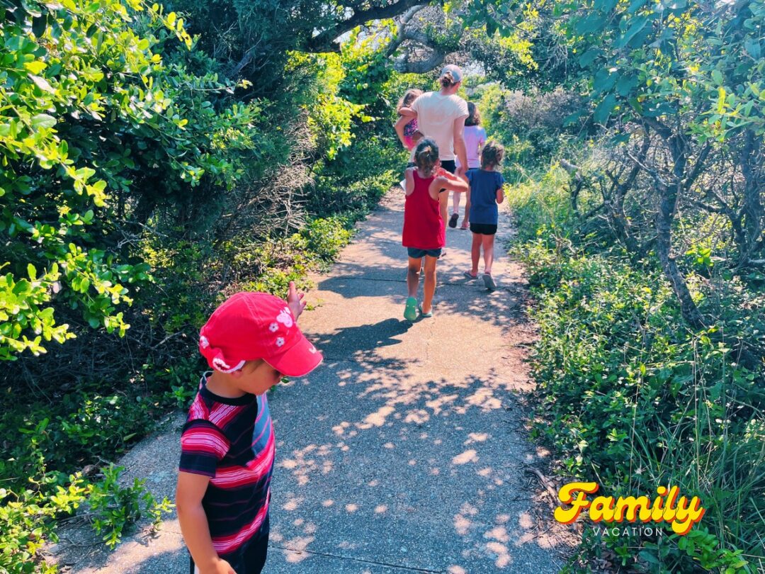 Visit the Pea Island National Wildlife Refuge on the Outer Banks (It’s ...