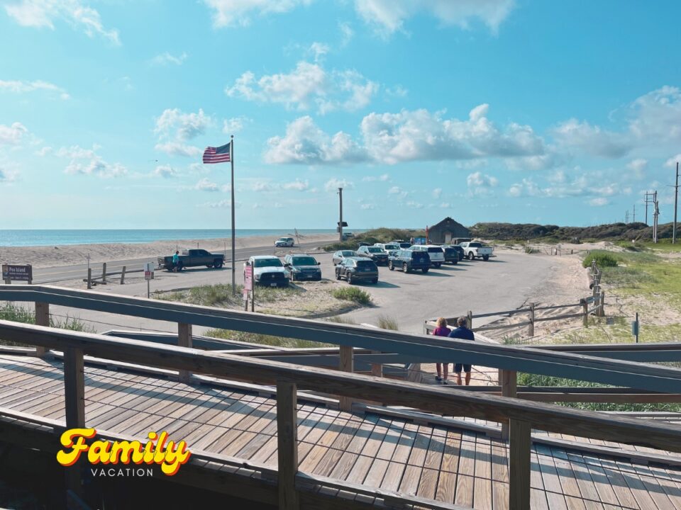 Visit the Pea Island National Wildlife Refuge on the Outer Banks (It’s ...
