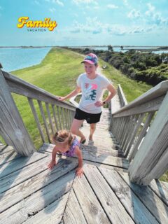 Visit the Pea Island National Wildlife Refuge on the Outer Banks (It’s ...