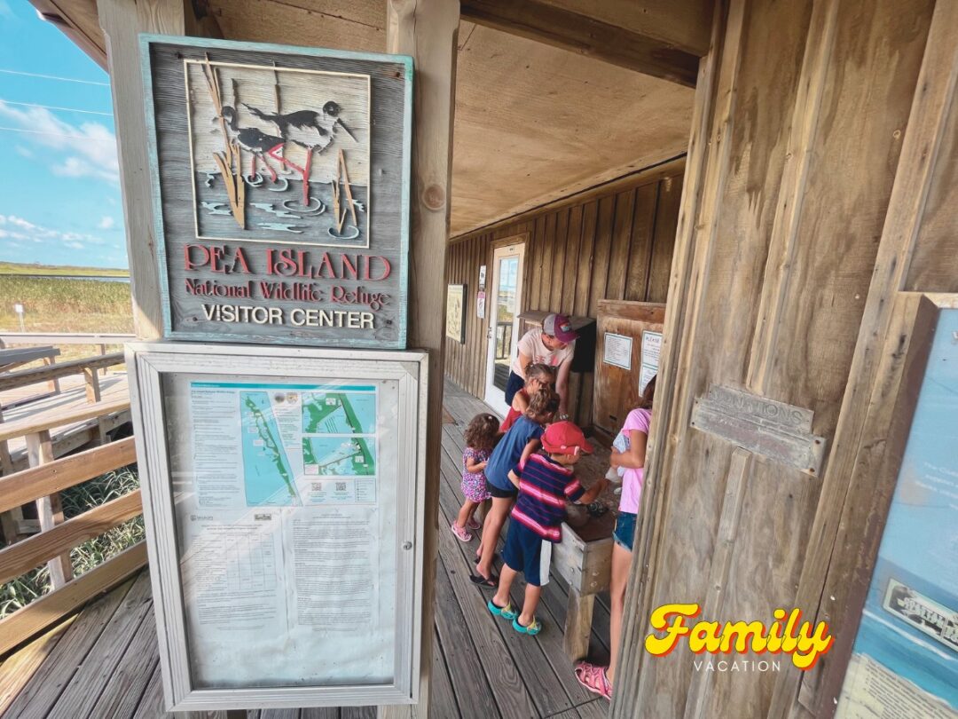 Visit The Pea Island National Wildlife Refuge On The Outer Banks (It's ...