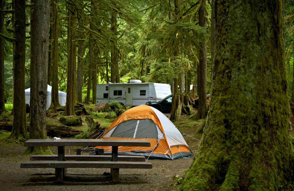 14 Kid-Friendly Campgrounds And RV Parks That Are Perfect For Family ...